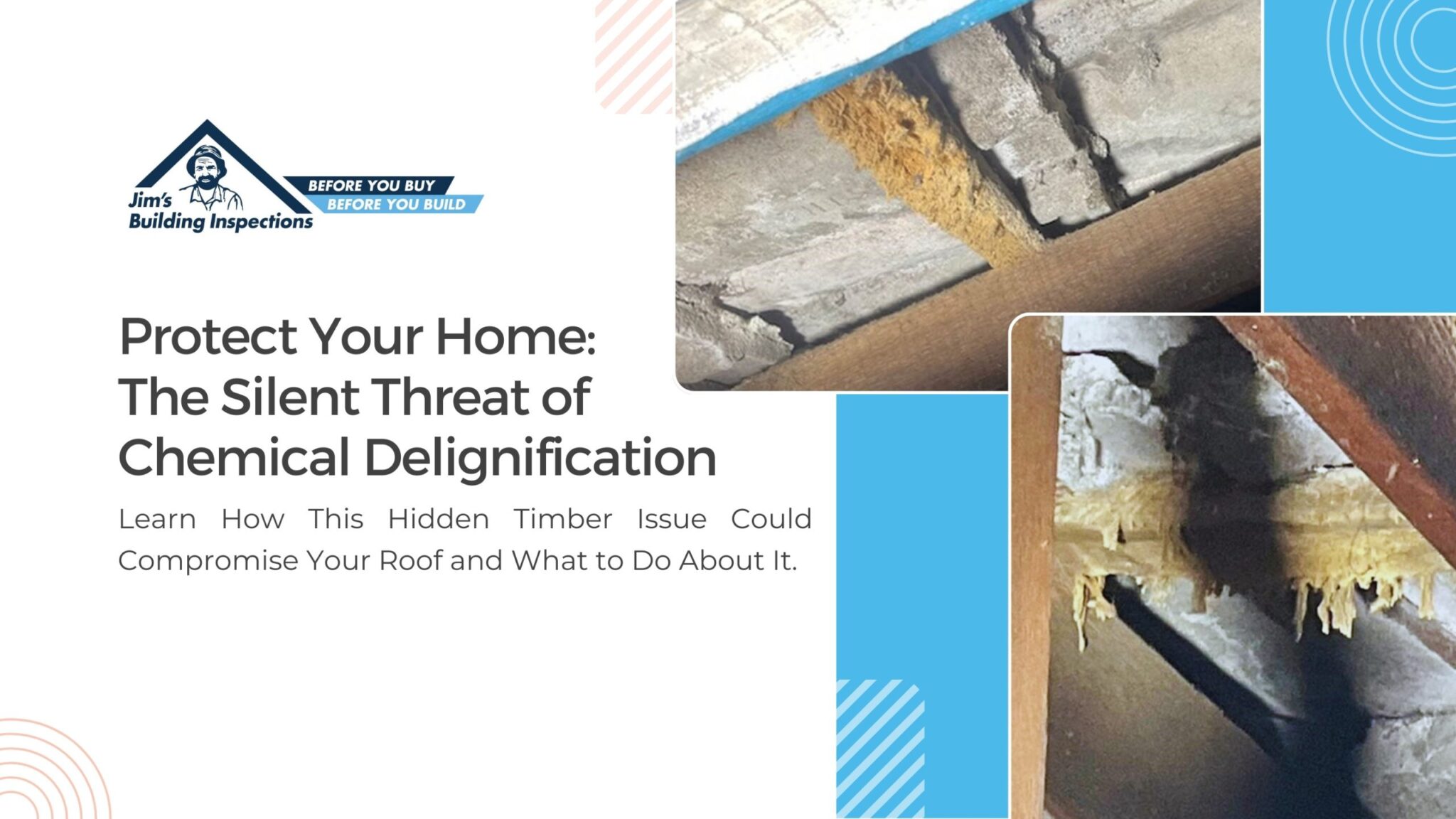 Protect Your Home: The Silent Threat of Chemical Delignification - Jims ...